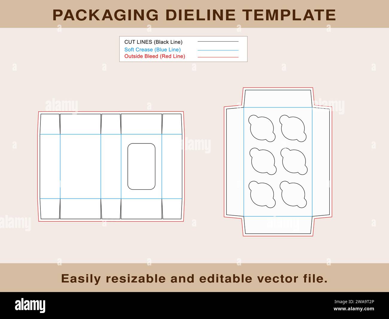 Cupcake Box Window Display 6 Holes Insert Die line Template Editable ...
