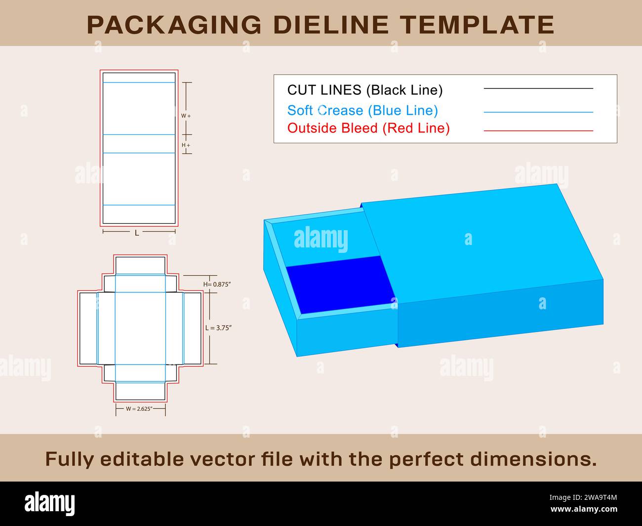 Fire Match Box, die line Template, Editable Vector File Stock Vector ...