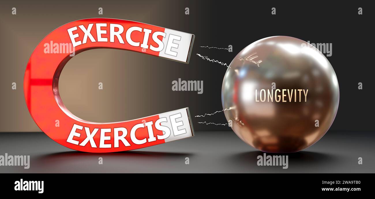 Exercise attracts Longevity. A metaphor showing exercise as a big ...