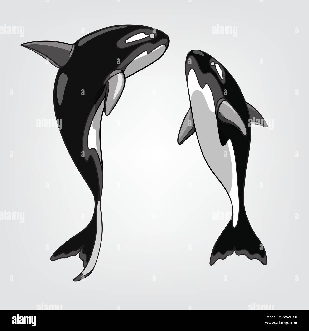 Vector illustration of isolated cartoon orcas Stock Vector Image & Art ...