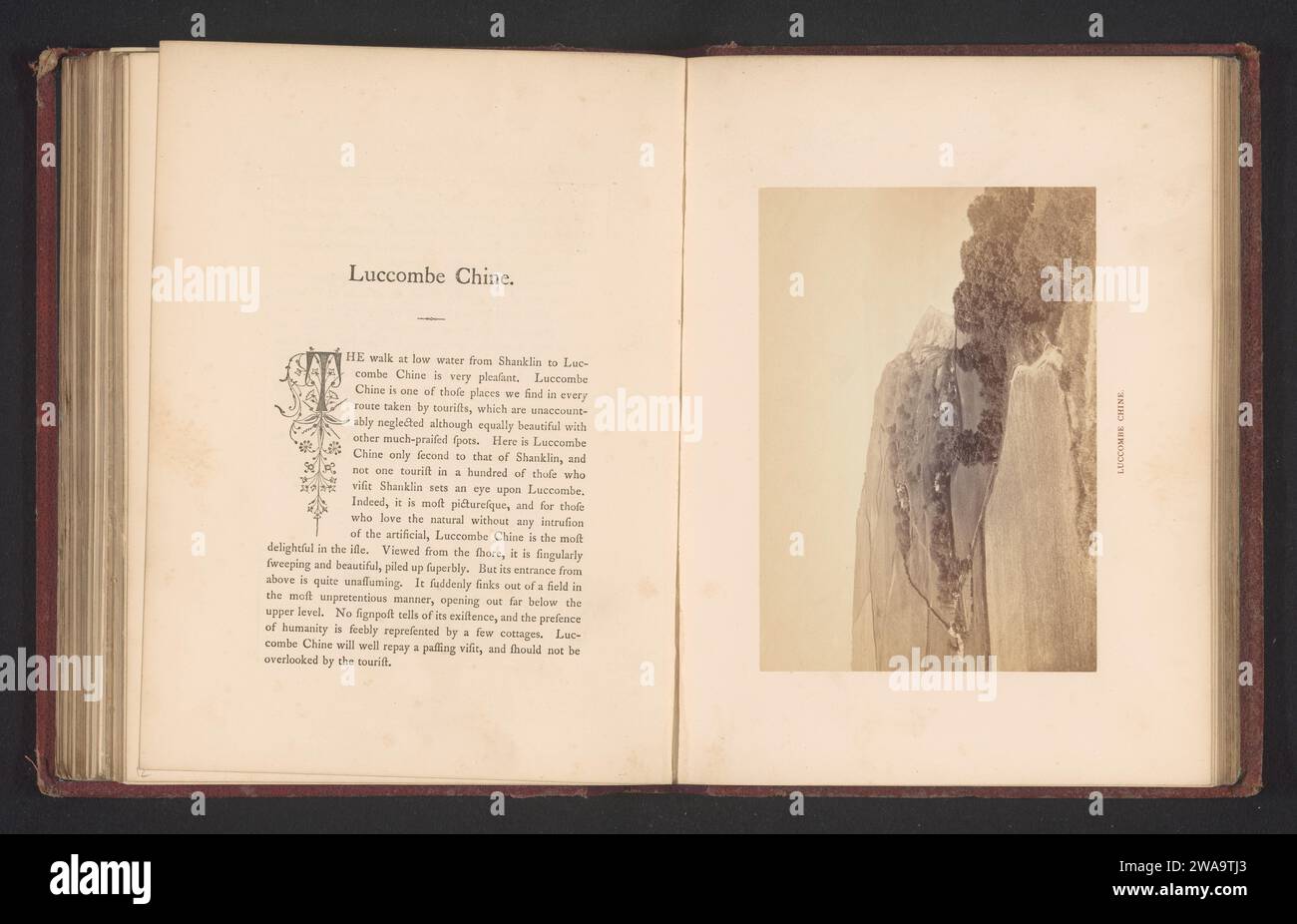 Luccombe chine hi-res stock photography and images - Alamy