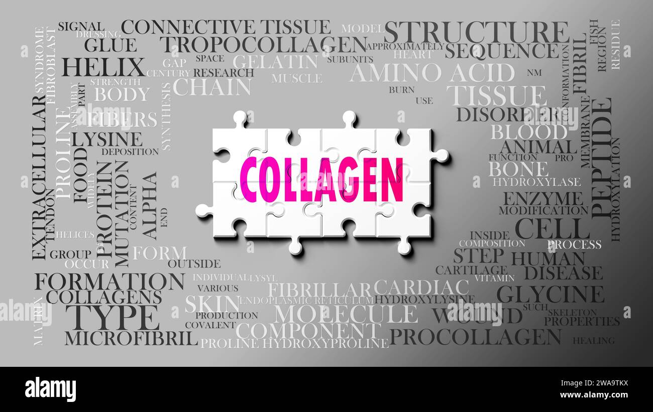 Collagen a complex subject hi-res stock photography and images - Alamy
