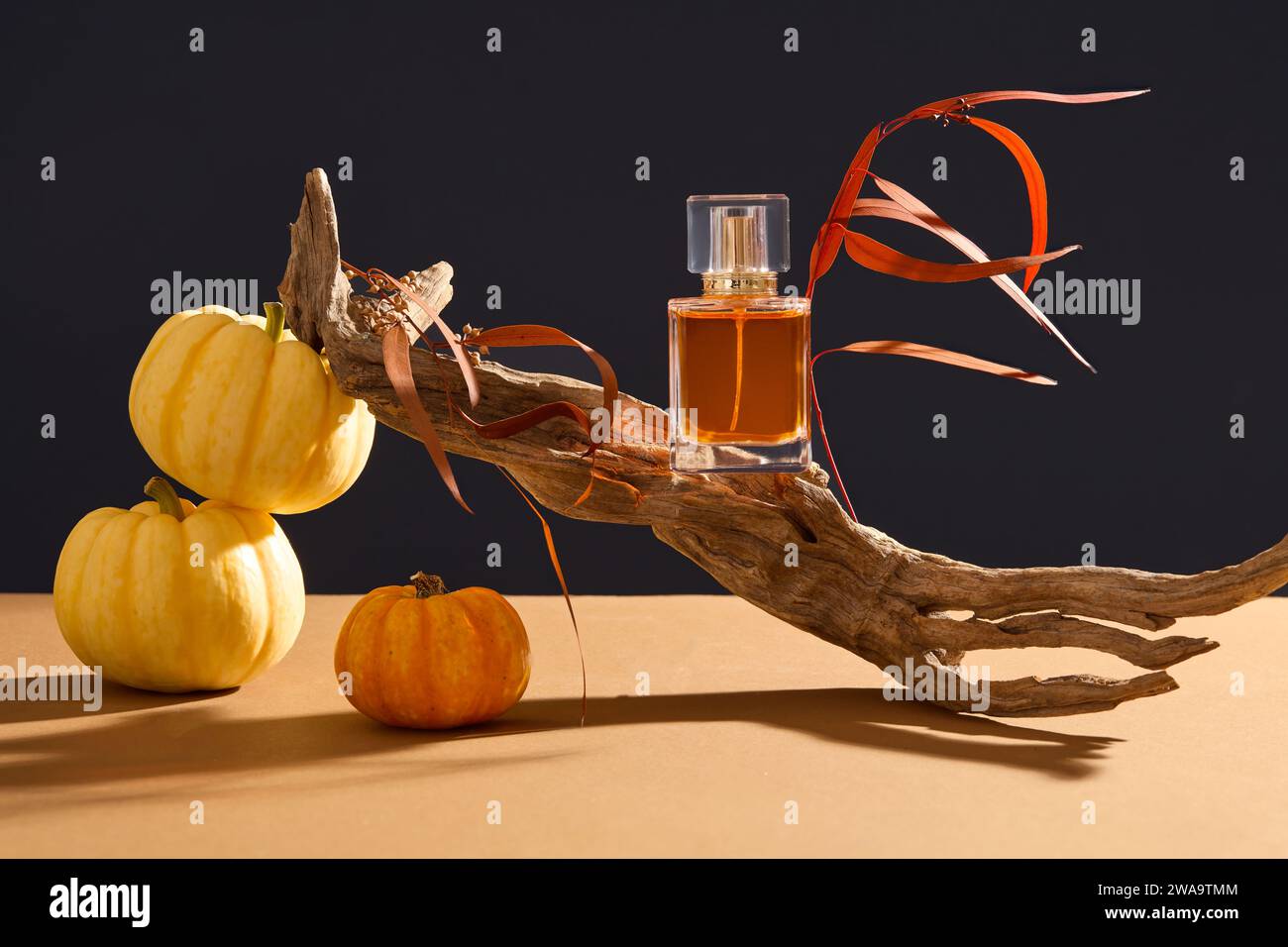 Glass bottle of perfume put on a big tree branch and decorated with few ...