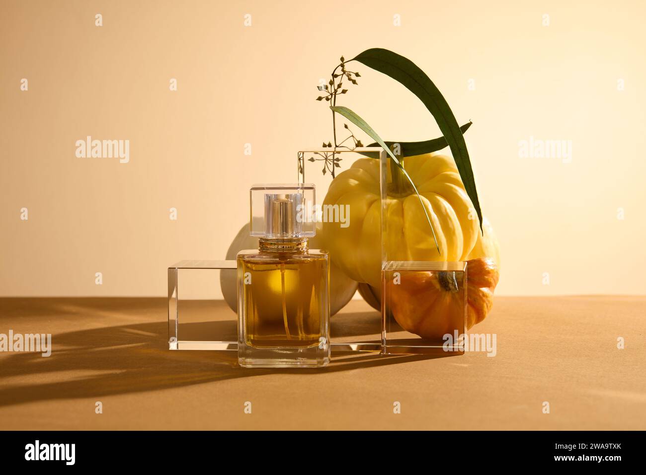 Blank label glass perfume bottle arranged with few transparent podiums ...