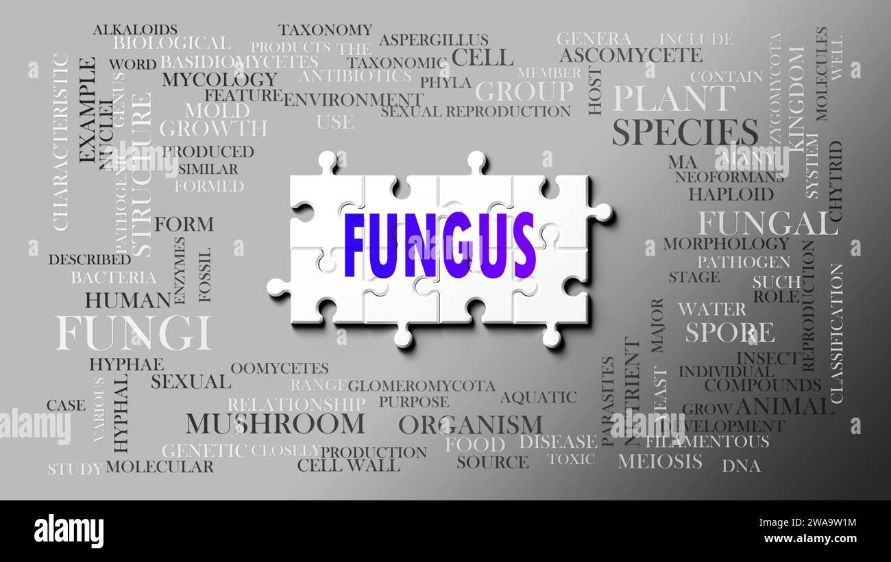 Fungus - a complex subject, related to many concepts. Pictured as a ...