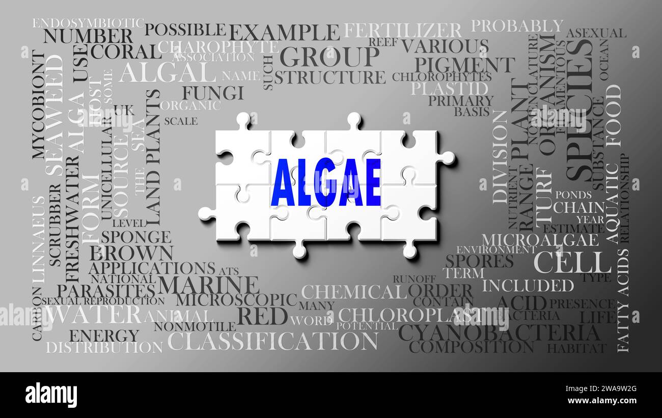 Algae - a complex subject, related to many concepts. Pictured as a ...