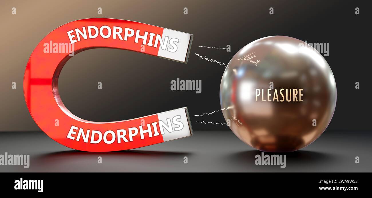 Endorphins attracts Pleasure. A metaphor showing endorphins as a big ...