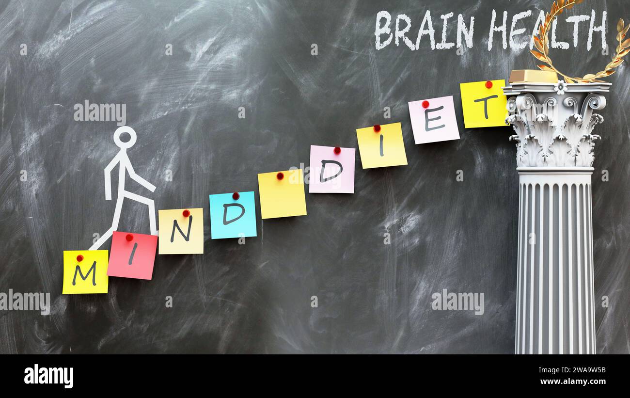 Mind diet leads to Brain health - a metaphor showing how mind diet ...