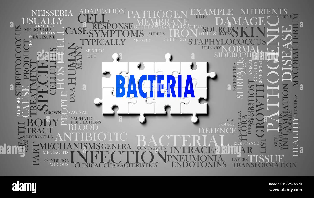 Bacteria - a complex subject, related to many concepts. Pictured as a puzzle and a word cloud ...