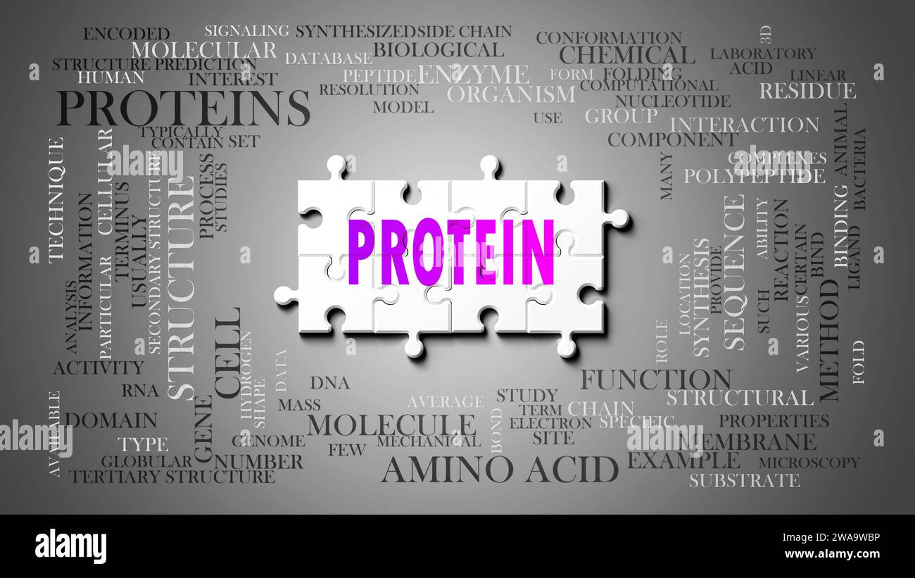 Protein - a complex subject, related to many concepts. Pictured as a ...