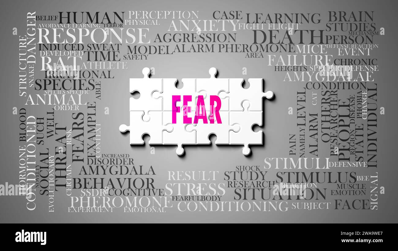 Fear - a complex subject, related to many concepts. Pictured as a puzzle and a word cloud made ...