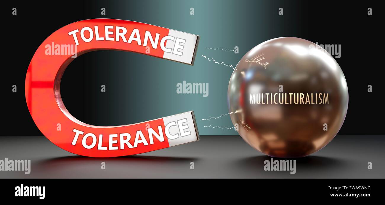Tolerance attracts Multiculturalism. A metaphor showing tolerance as a ...