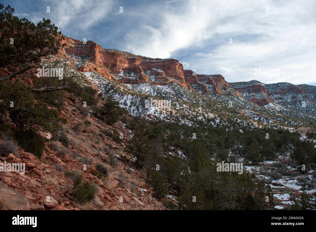 In John Brown Canyon above Gateway, Colorado Stock Photo - Alamy