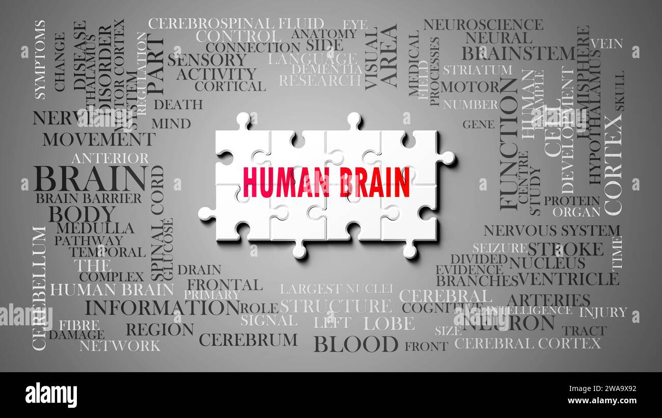 Human brain - a complex subject, related to many concepts. Pictured as a puzzle and a word cloud ...