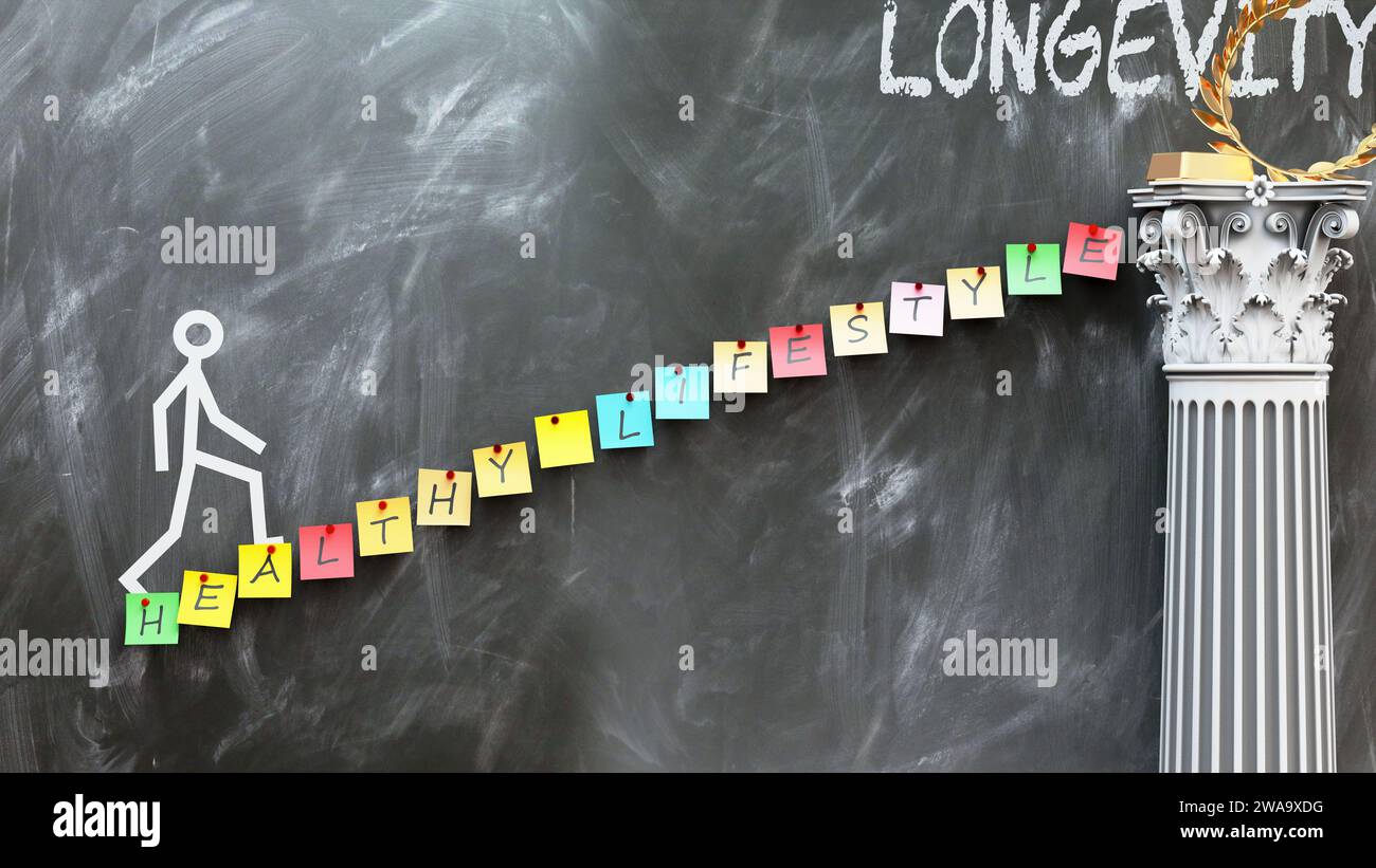 Healthy lifestyle leads to Longevity - a metaphor showing how healthy ...