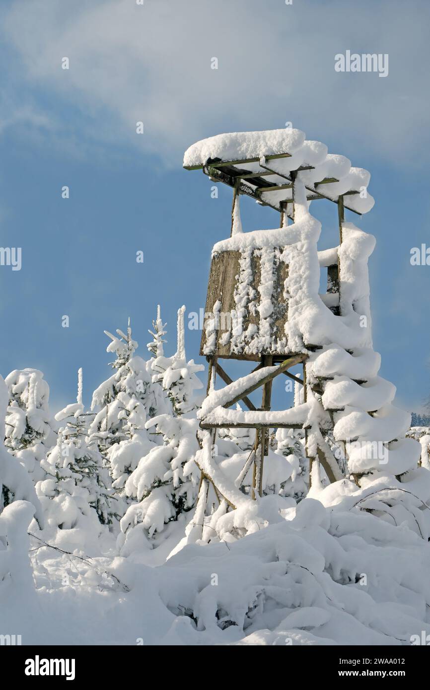 Tower hide hi-res stock photography and images - Alamy