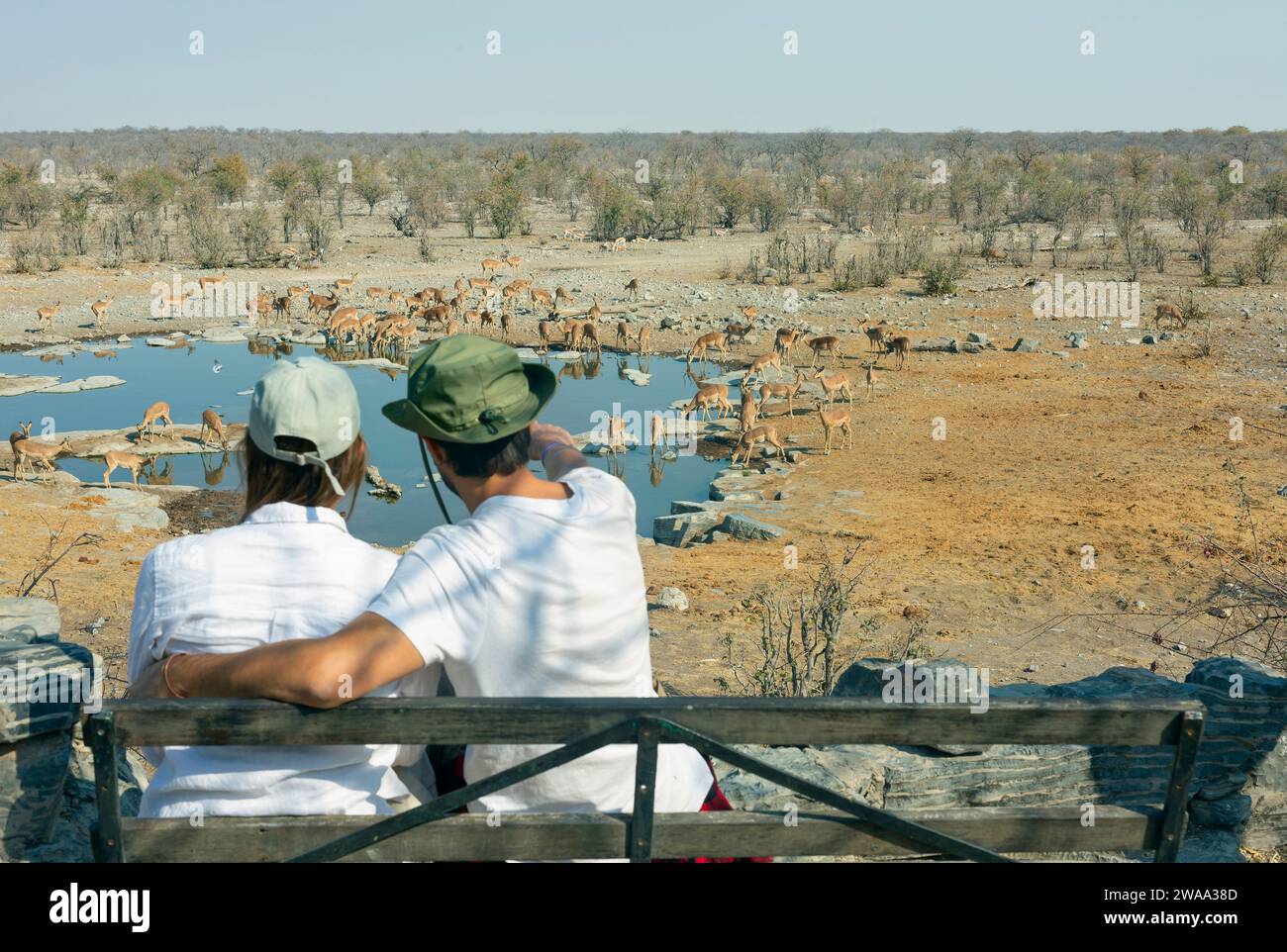 Rear view of young couple observing animals in African savannah ...