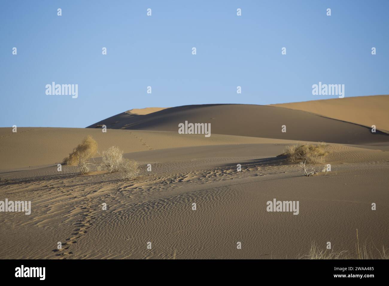 Aerial photo shows the Badain Jaran Desert of Alxa Right Banner, north ...