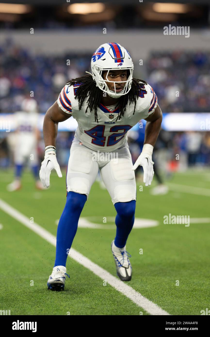 Buffalo Bills linebacker Dorian Williams (42) takes his stance before ...