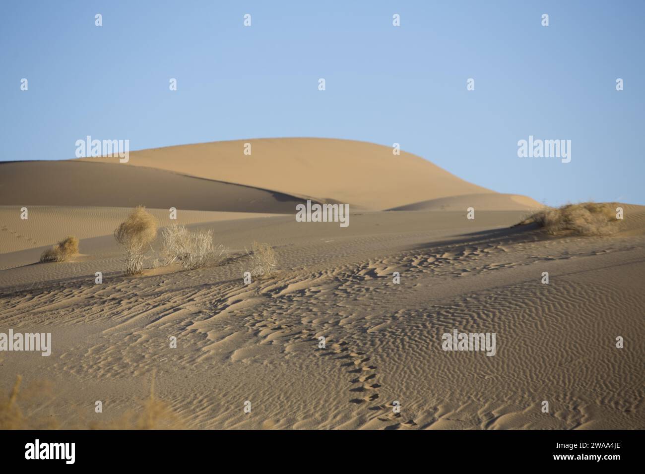 Aerial photo shows the Badain Jaran Desert of Alxa Right Banner, north ...