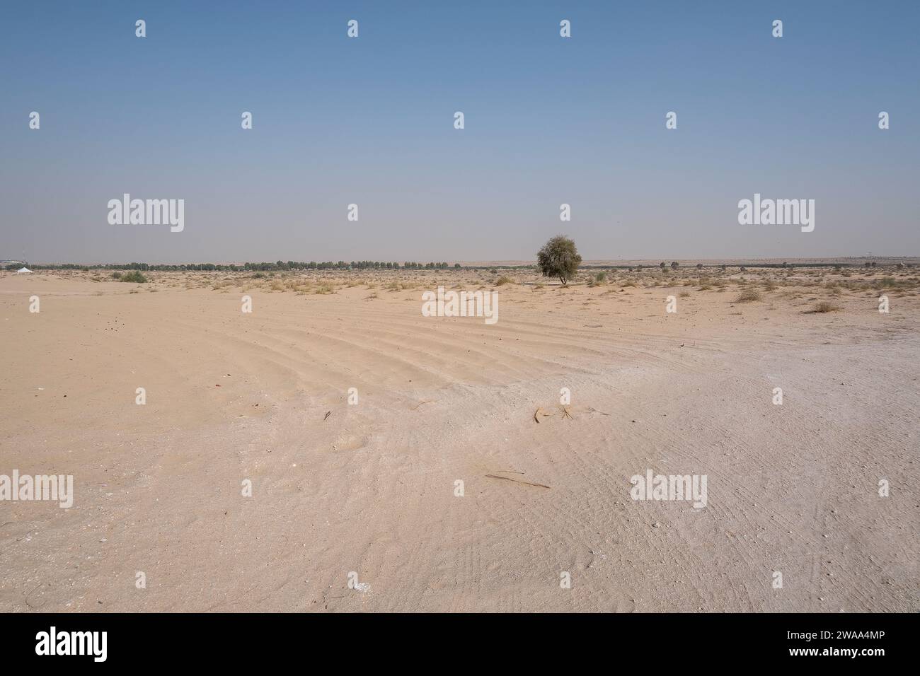 Bab Al Shams empty quarter seamless desert sahara in Dubai UAE middle ...