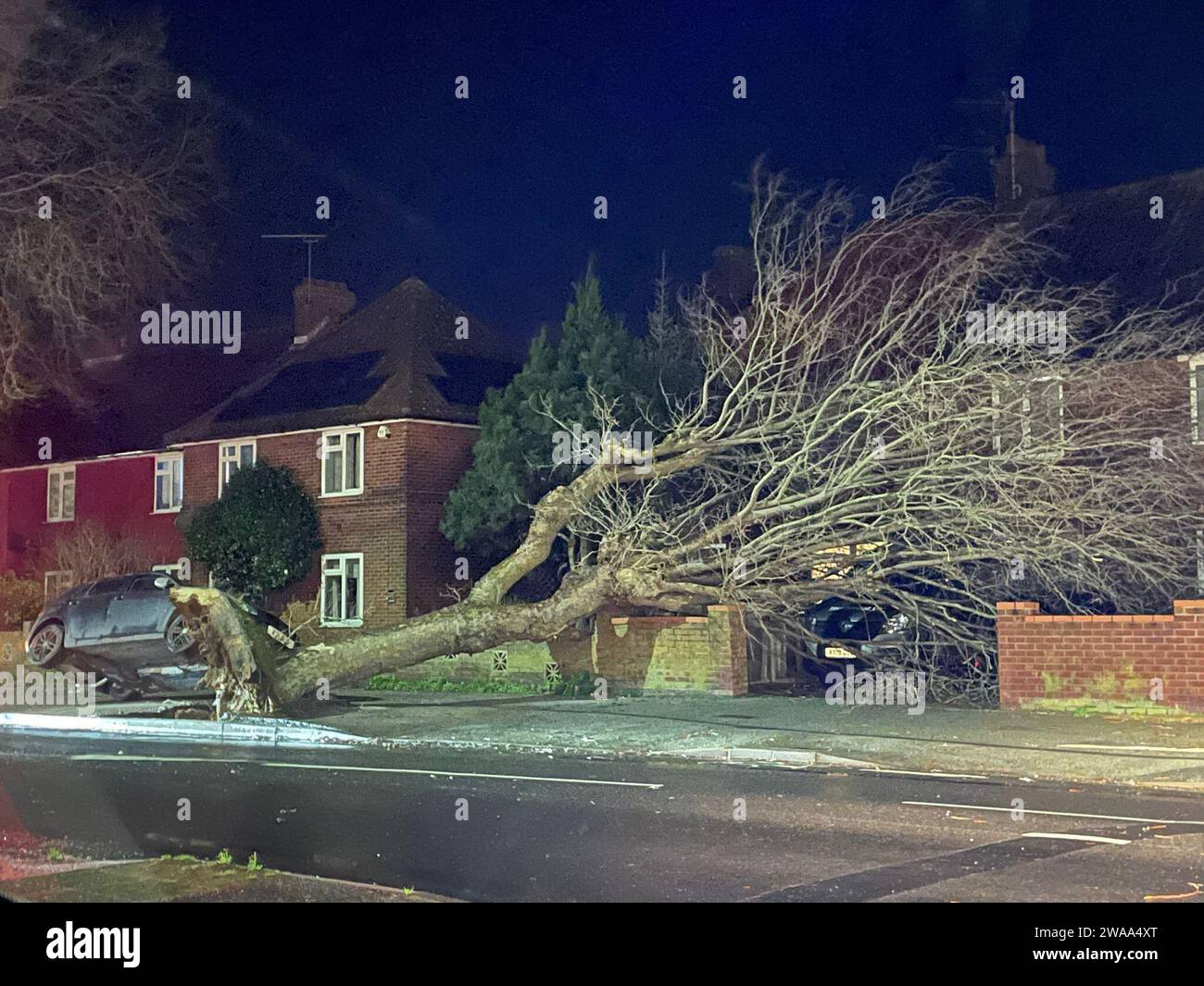 A tree blown over by Storm Henk that has landed on one car and upturned ...