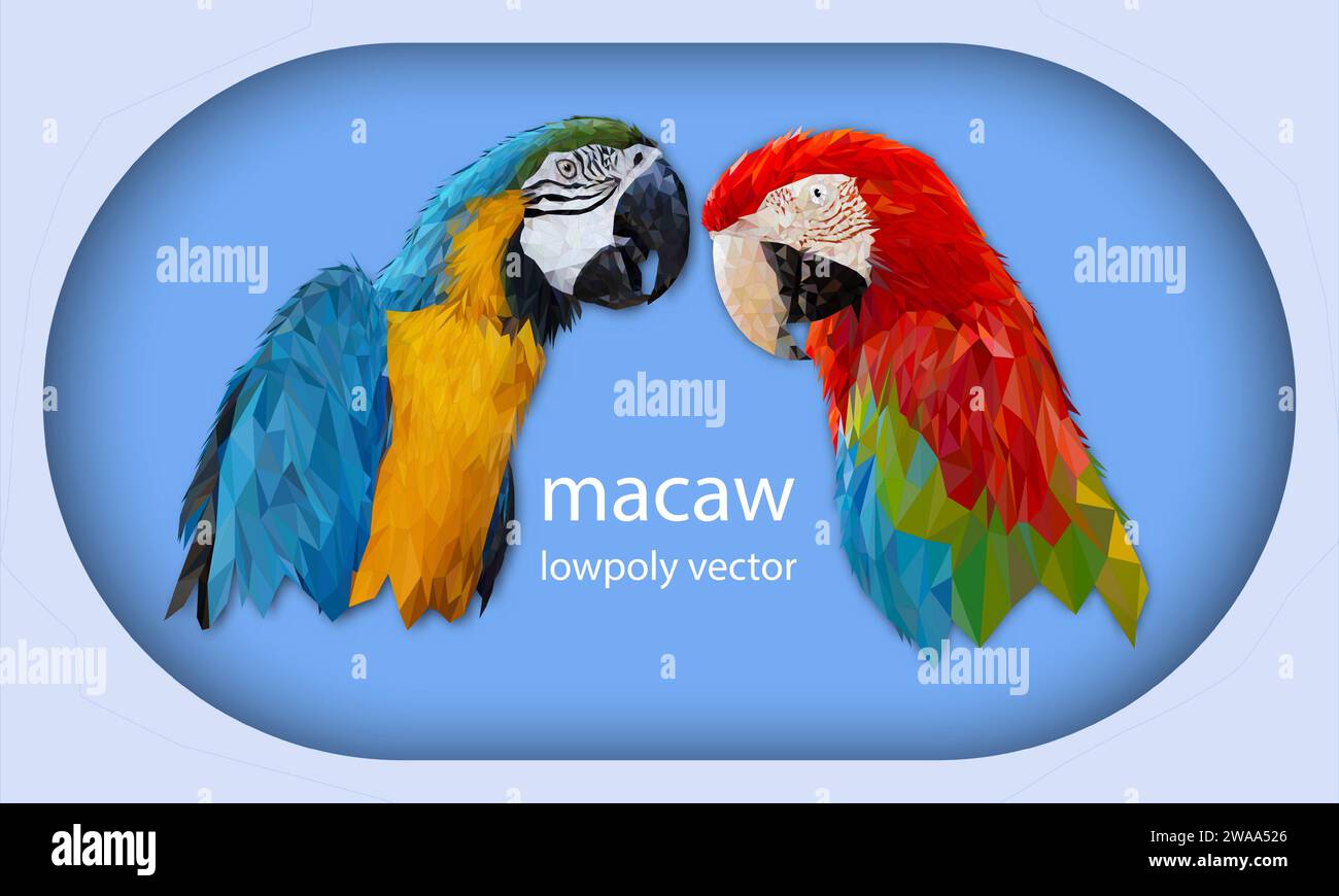 Polygon Graphics two bird macaw parrot vector illustration Stock Vector ...