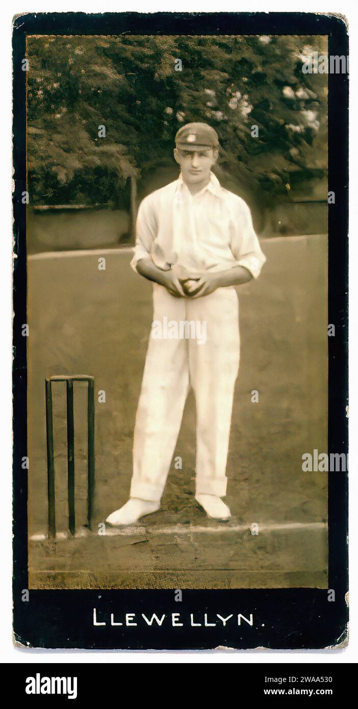 Cricketer Charles Llewellyn - Vintage Cigarette Card Illustration Stock ...