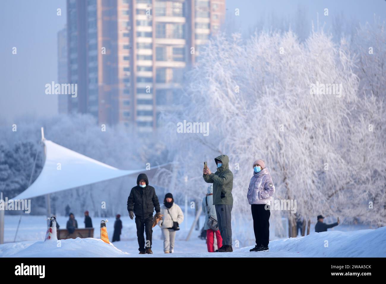 Harbin, China's Heilongjiang Province. 3rd Jan, 2024. People take ...