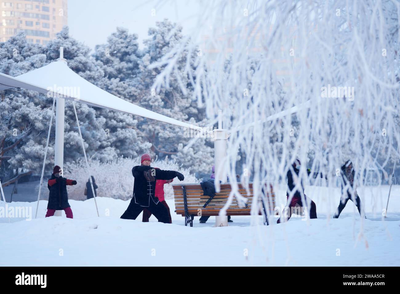 Harbin, China's Heilongjiang Province. 3rd Jan, 2024. People practice ...