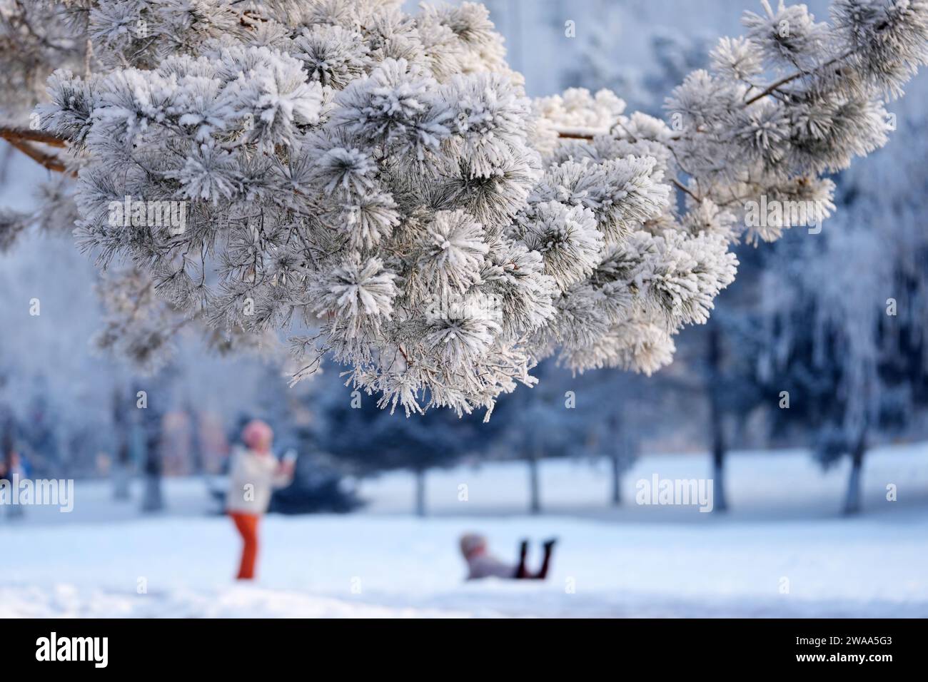 Harbin, China's Heilongjiang Province. 3rd Jan, 2024. People take ...