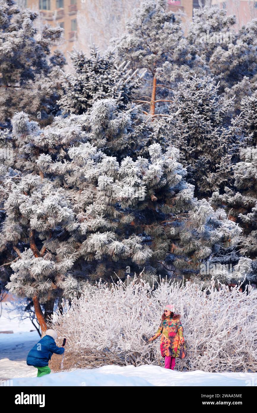Harbin, China's Heilongjiang Province. 3rd Jan, 2024. People take ...