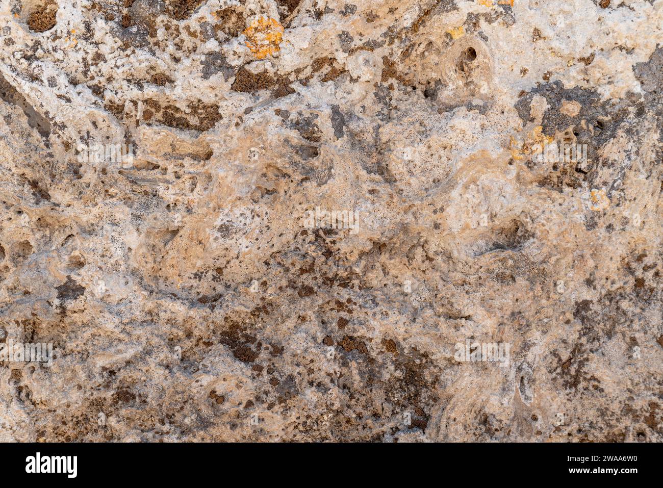 one-piece block stone wall that has started to grow old and covered ...