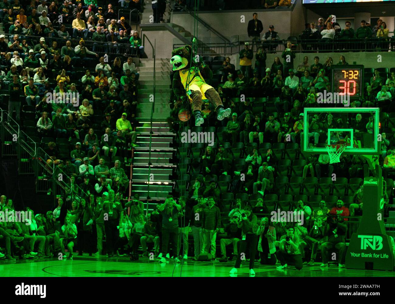 Waco, Texas, USA. 2nd Jan, 2024. Baylor Bears mascot delivers the game ...