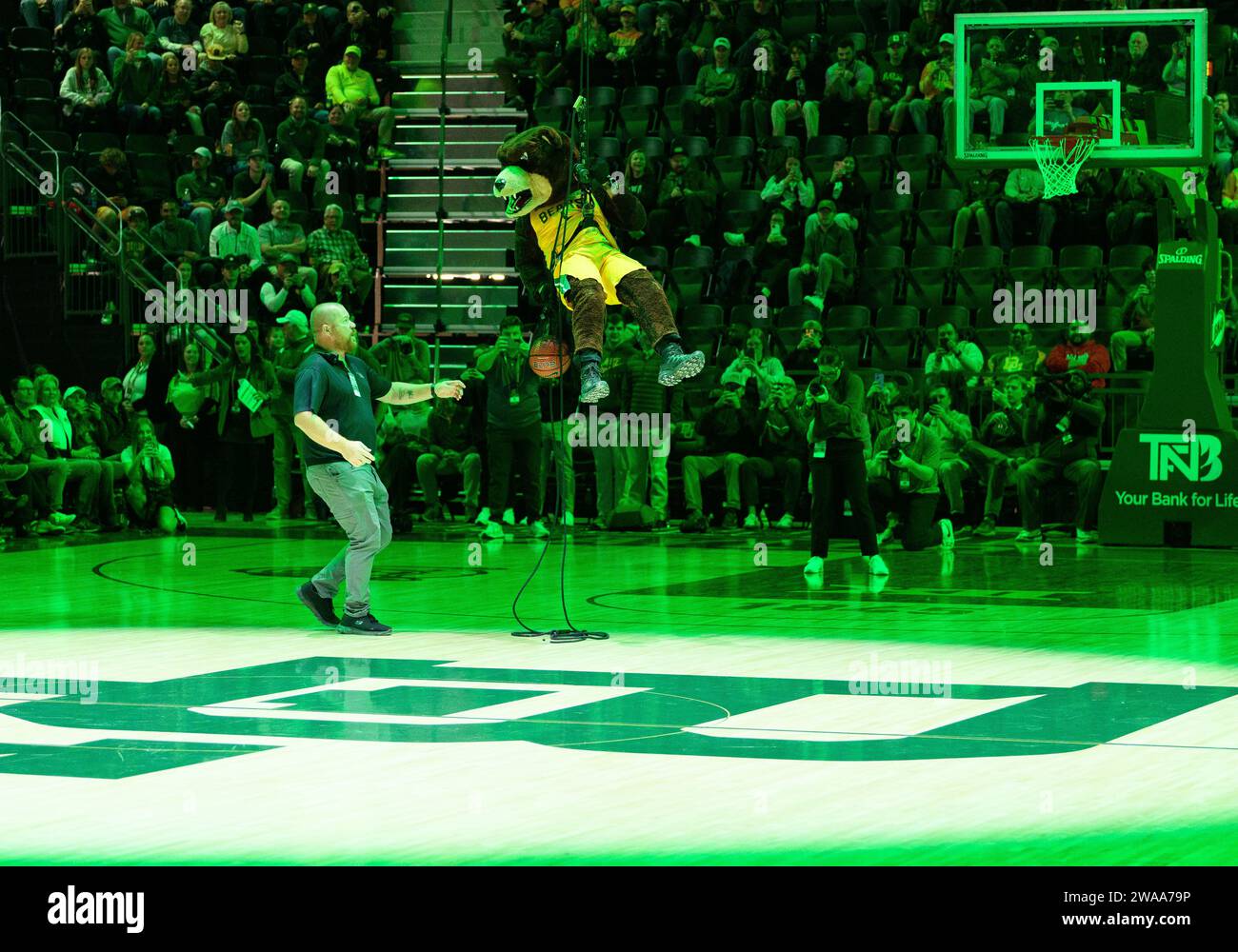 Waco, Texas, USA. 2nd Jan, 2024. Baylor Bears mascot delivers the game ...