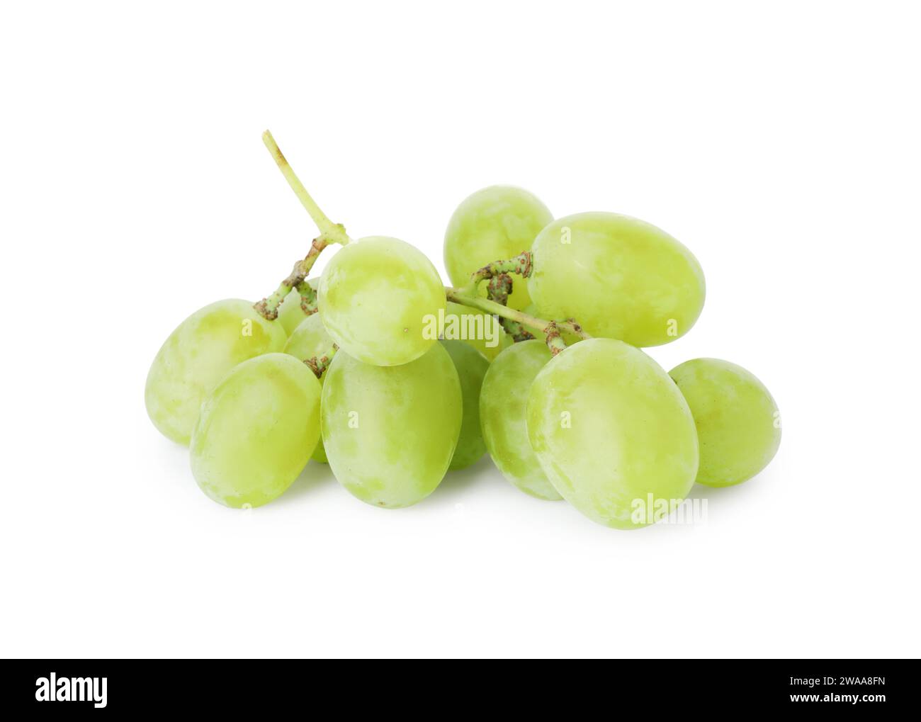 Green seedless grapes on vine Cut Out Stock Images & Pictures - Alamy