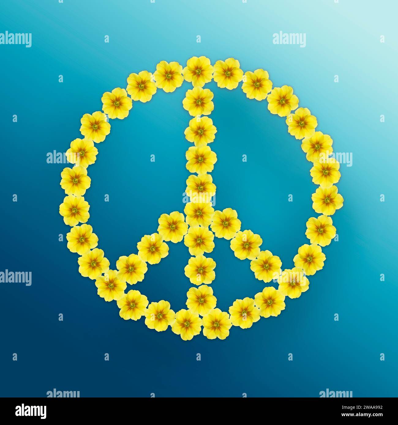Hippie peace symbol made of yellow primula flowers on light blue ...