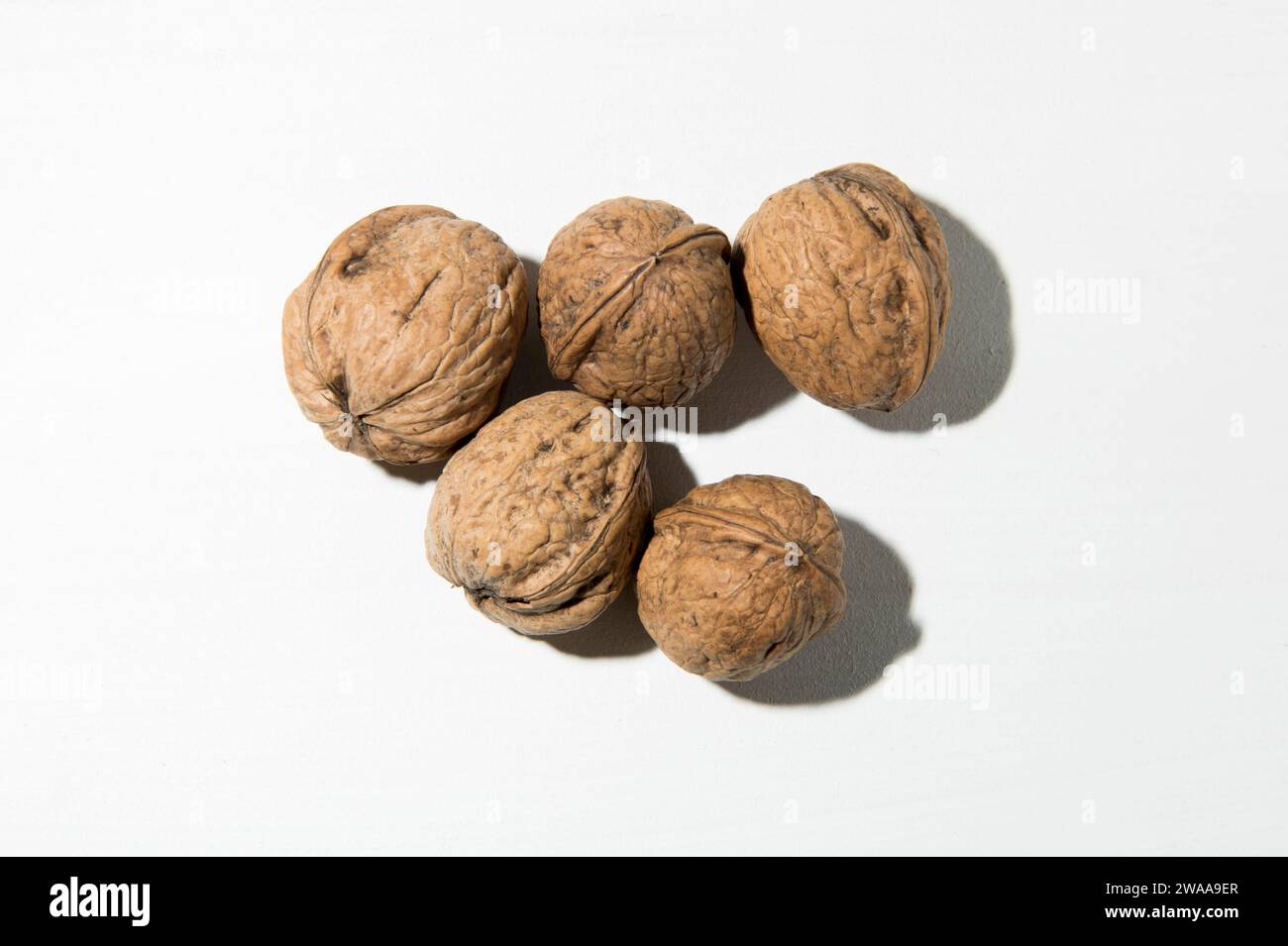 Walnut Nuts Seed on Bright Kitchen Bench Stock Photo - Alamy