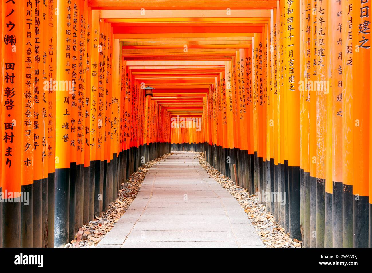 Red Torii gates in Fushimi Inari shrine in Kyoto, Japan Stock Photo - Alamy