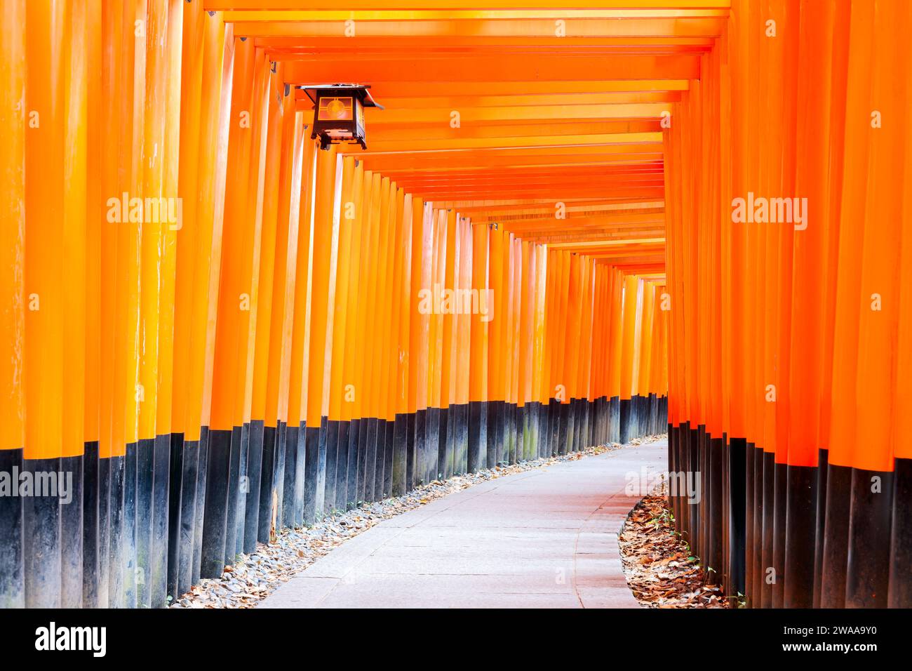 Red Torii gates in Fushimi Inari shrine in Kyoto, Japan Stock Photo - Alamy