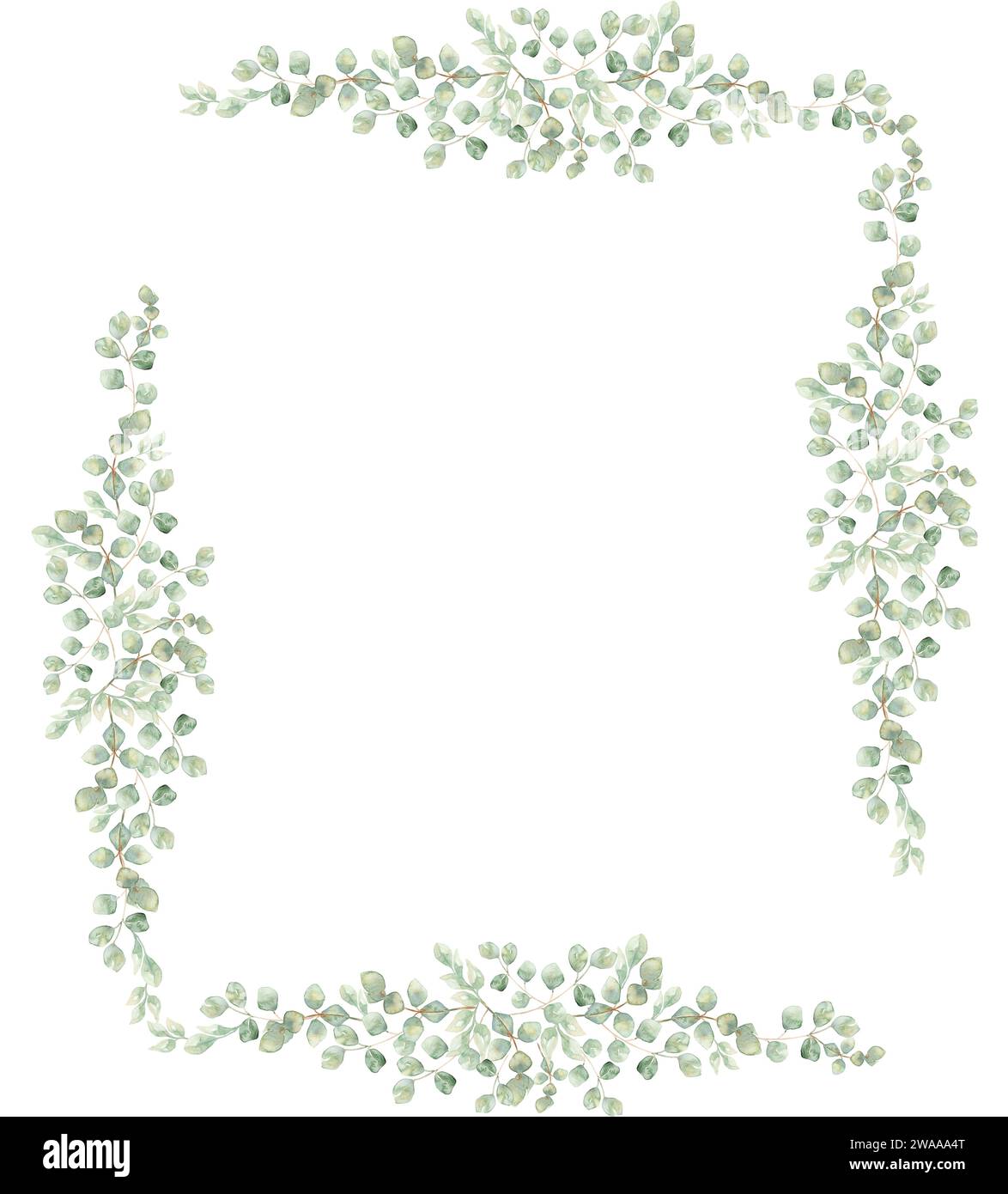 Watercolor hand drawn greenery frame illustration, eucalyptus border ...
