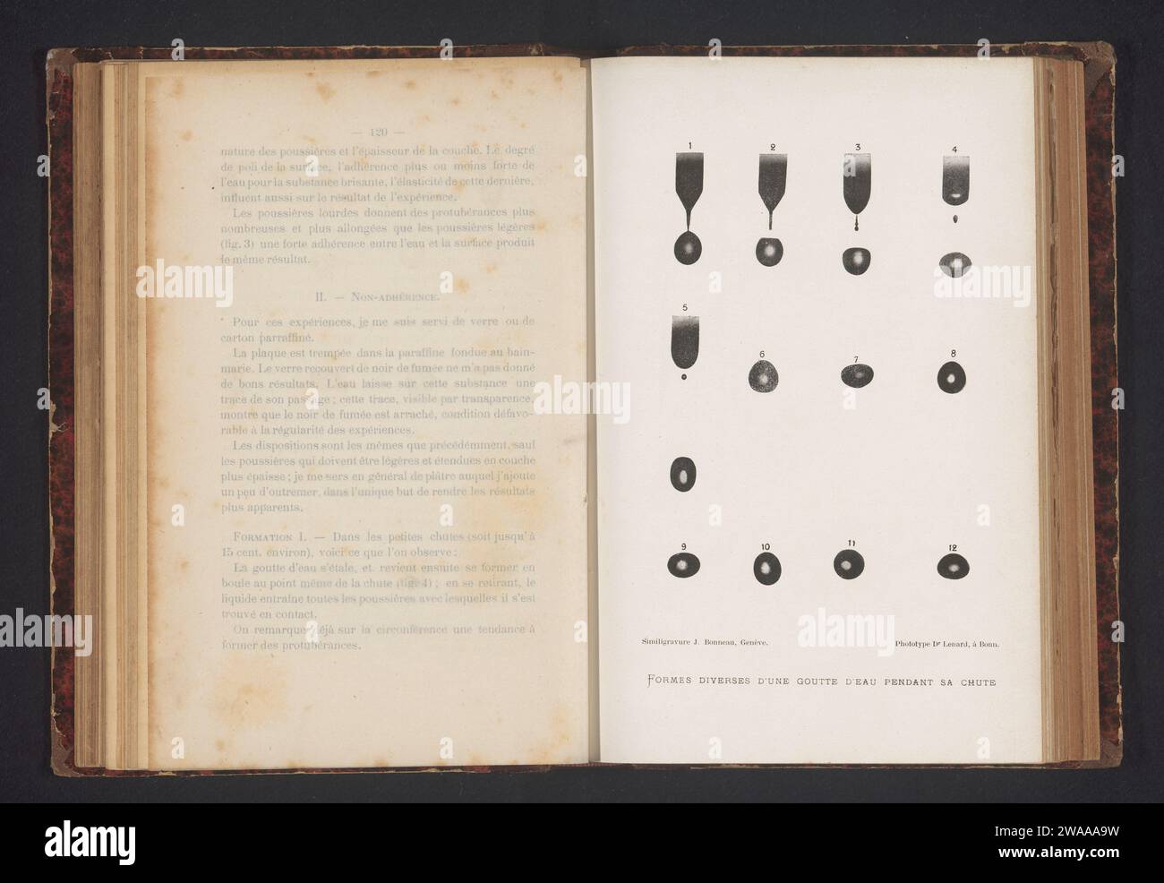 Different phases and forms of a falling drop, Jacob Bonneau, c. 1890 ...