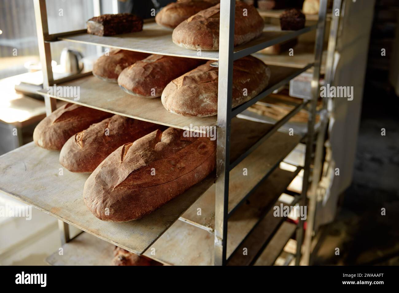 Steel rack with bread loaf on baking sheet in commercial kitchen Stock ...