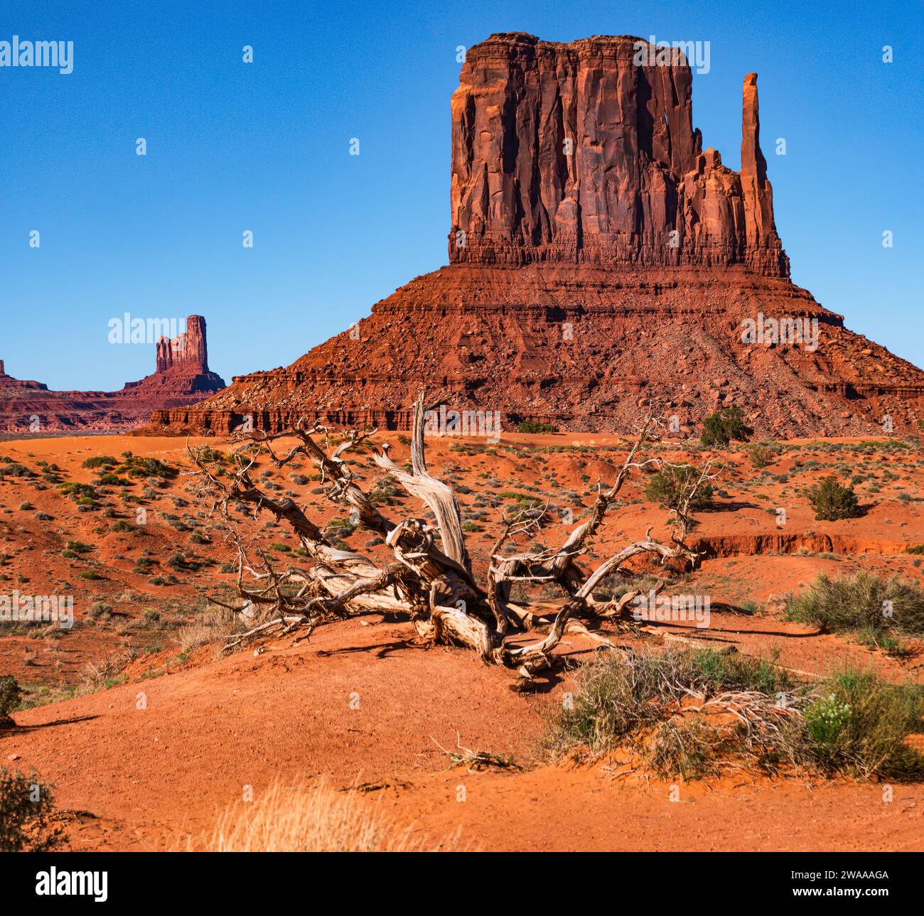 Monument valley landscape, Utah, USA, clear blue sky and long shadows ...