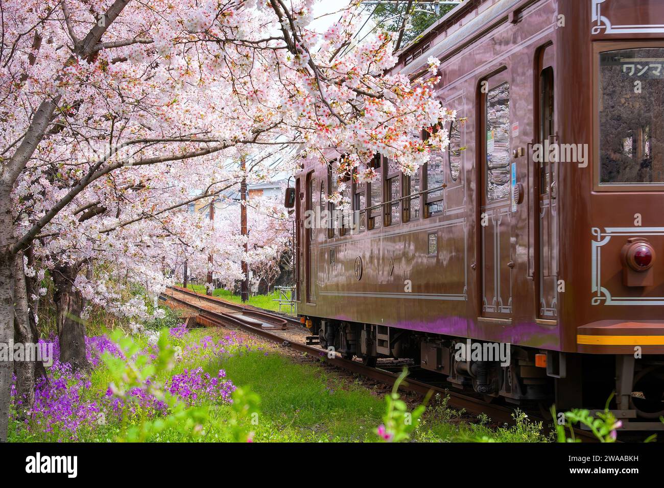 Kyoto, Japan - March 31 2023: Keifuku Tram is operated by Keifuku ...