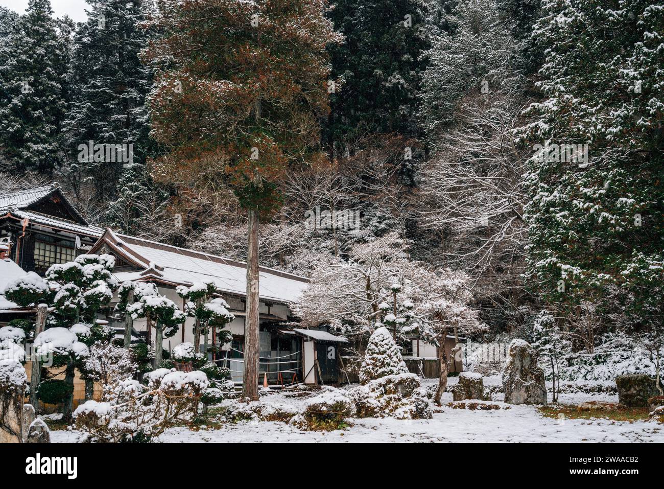 Shiroyama Park Shoren-ji Temple with winter snow in Takayama, Gifu, Japan Stock Photo - Alamy
