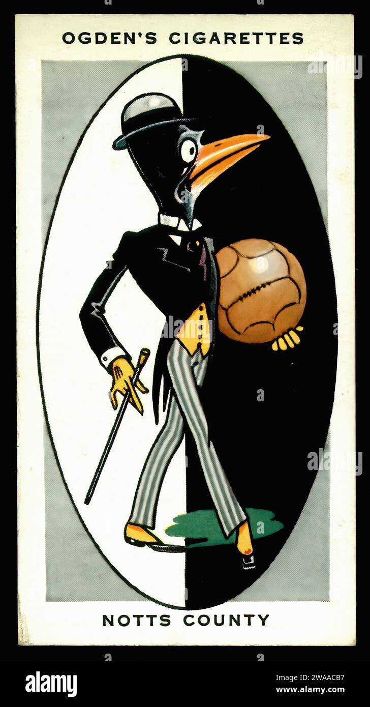 The Magpies - Vintage Cigarette Card Illustration Stock Photo - Alamy