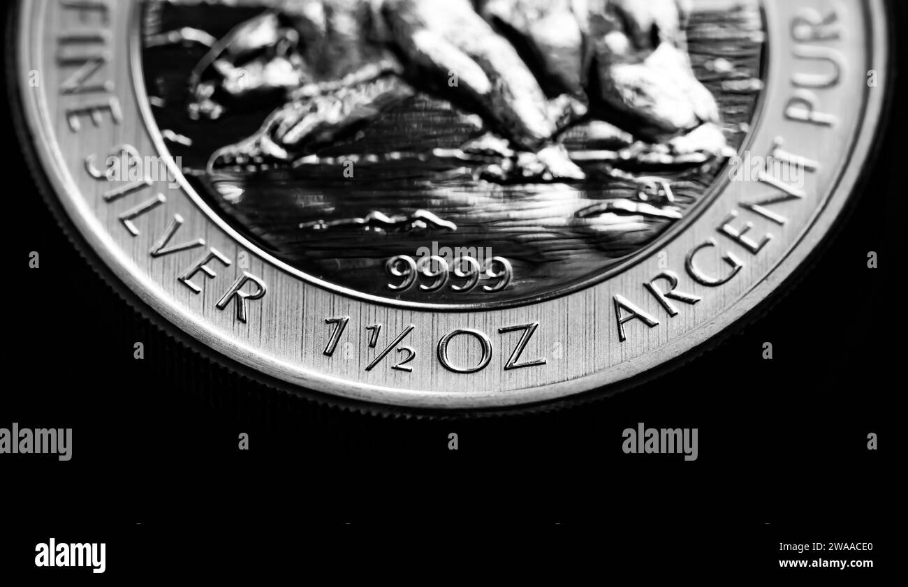 Macro Close up of Silver Bullion Coin on a black mirror background ...