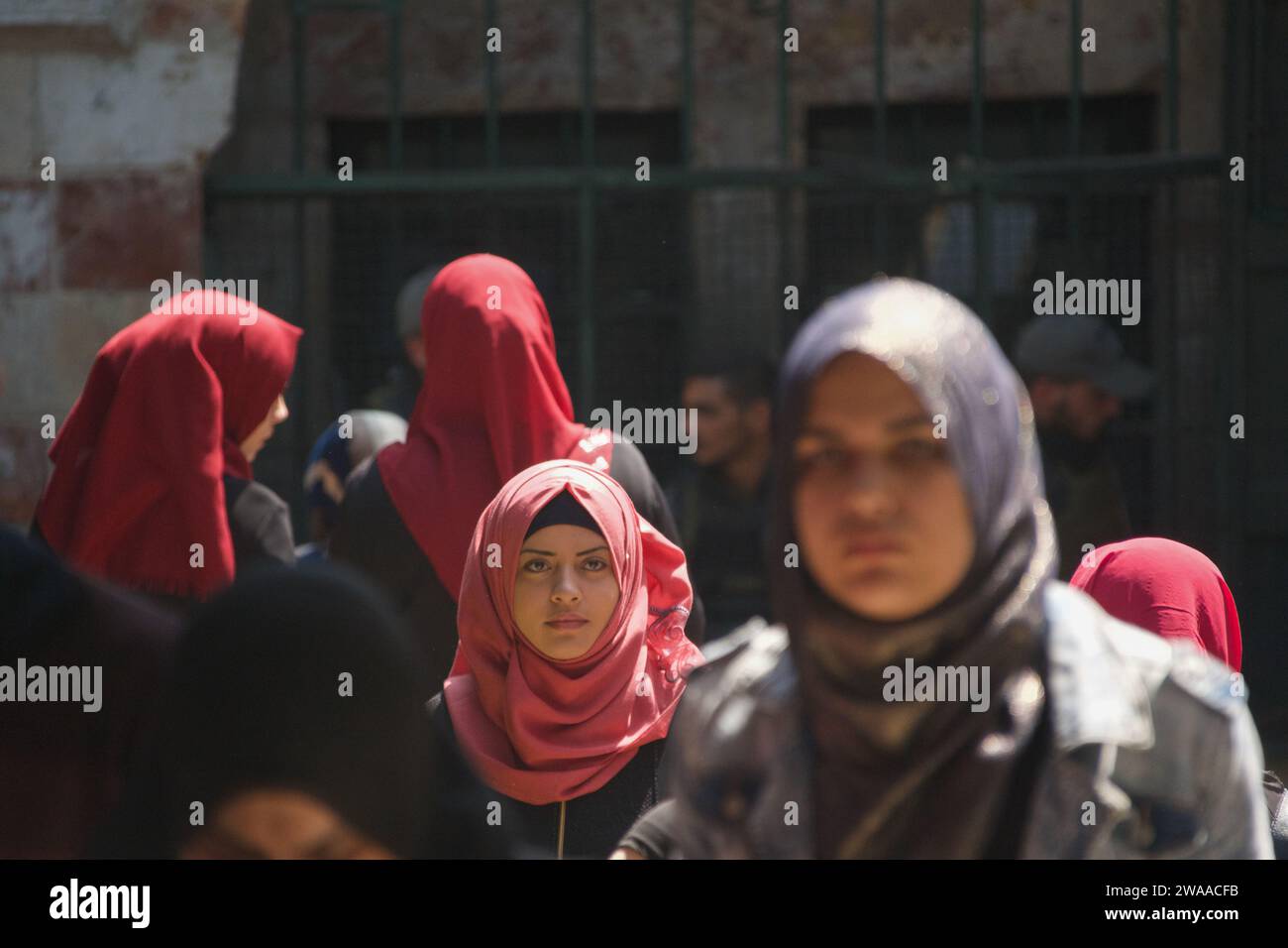 In the bustling streets of Tel-Aviv, the captivating gazes of women in ...