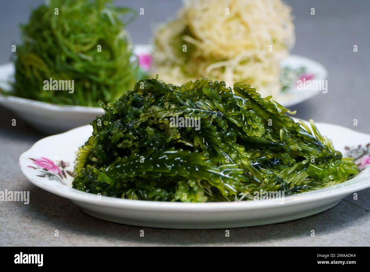 Japanese seaweed farmers hi-res stock photography and images - Alamy
